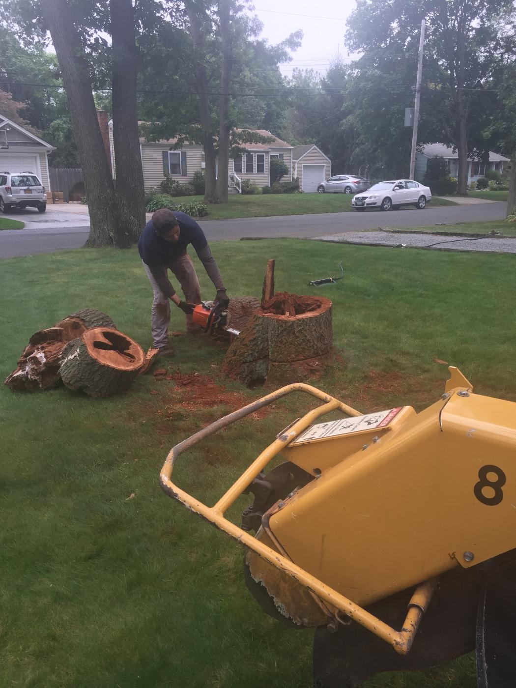 Mike Deckelmann's Landscaping – Long island Suffolk County Landscaping ...